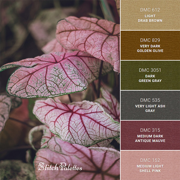 Matching Thread Color Combinations For Embroidery Projects