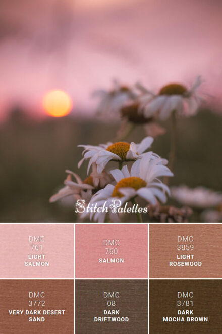 Dawn Of The Daisies - Embroidery Color Palette (With Thread Codes)