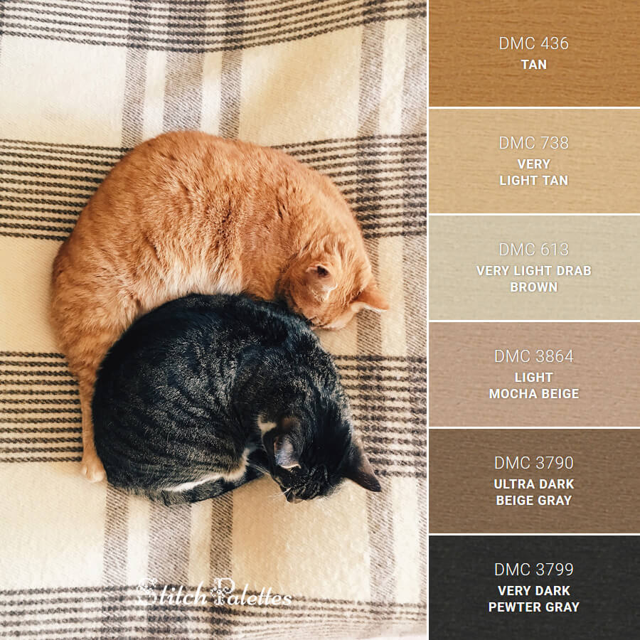 Temporary Peace - Embroidery Color Palette (With Thread Codes)