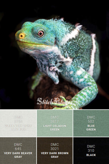 Iguana In The Dark - Embroidery Color Palette (With Thread Codes)