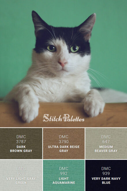 Gypsy the Cat - Embroidery Color Palette (With Thread Codes)