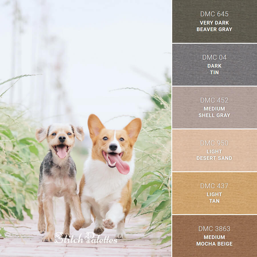 Friendship Run - Embroidery Color Palette (With Thread Codes)