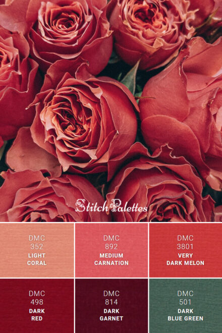 Red Roses - Embroidery Color Palette (With Thread Codes)