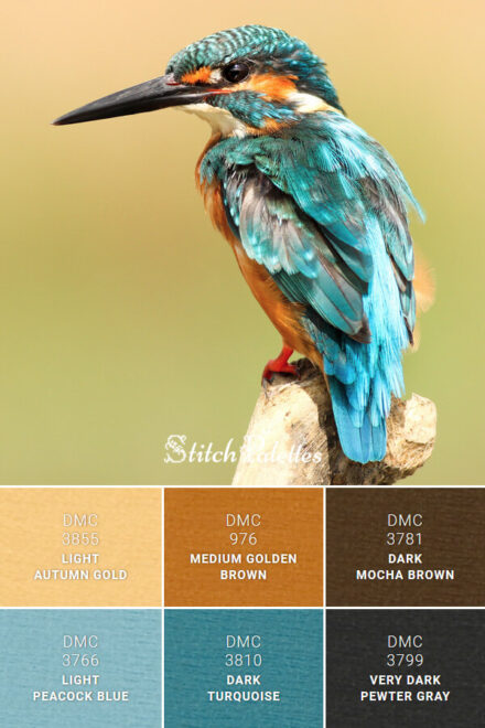 Blue Kingfisher - Embroidery Color Palette (With Thread Codes)