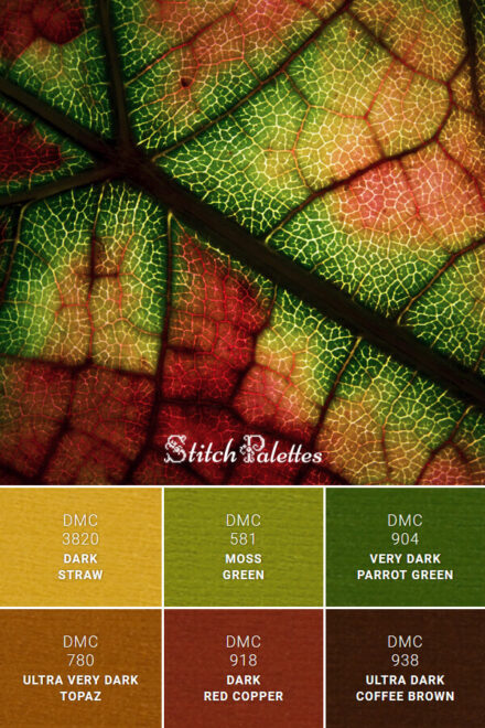 Reddish In Closeup - Embroidery Color Palette (With Thread Codes)