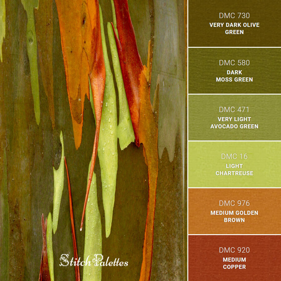 Costa Rican Tree - Embroidery Color Palette (With Thread Codes)