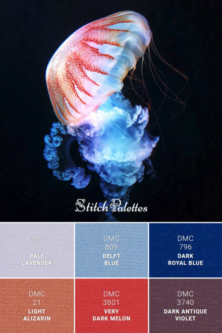 Swimming With Jellyfish - Embroidery Color Palette (With Thread Codes)