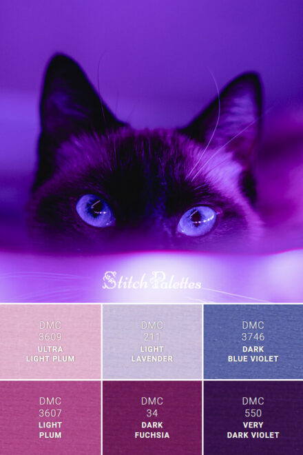 Cat In Hiding - Embroidery Color Palette (With Thread Codes)