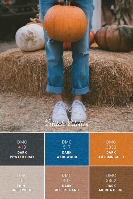 Visiting A Pumpkin Patch - Embroidery Color Palette (With Thread Codes)