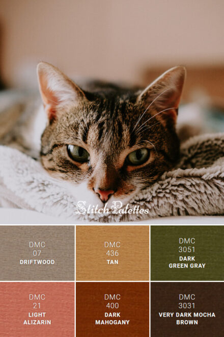 Green-Eyed Cat - Embroidery Color Palette (With Thread Codes)