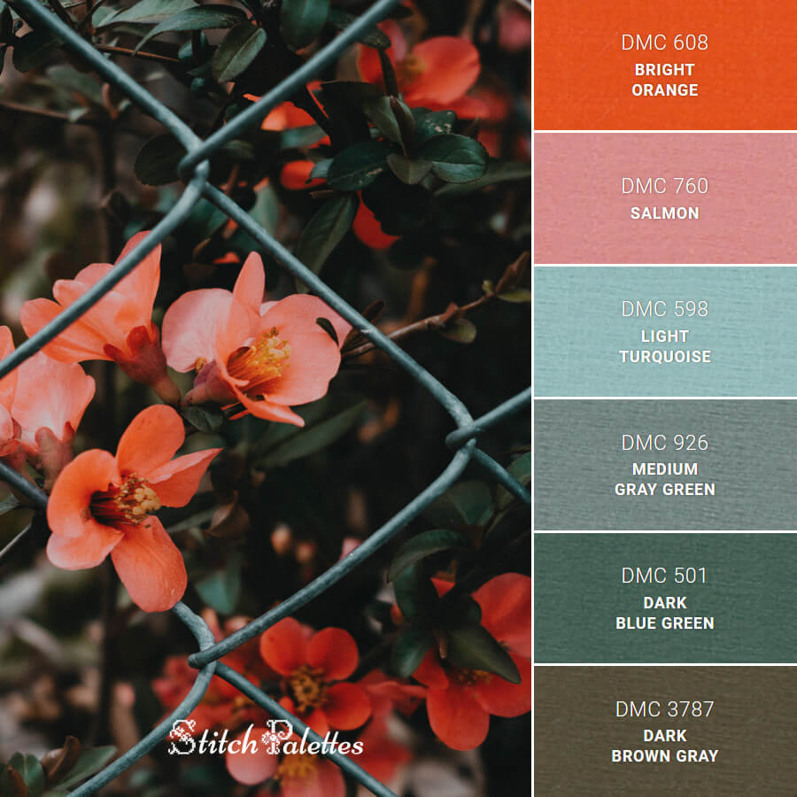 Blooming Orange Quince - Embroidery Color Palette (With Thread Codes)