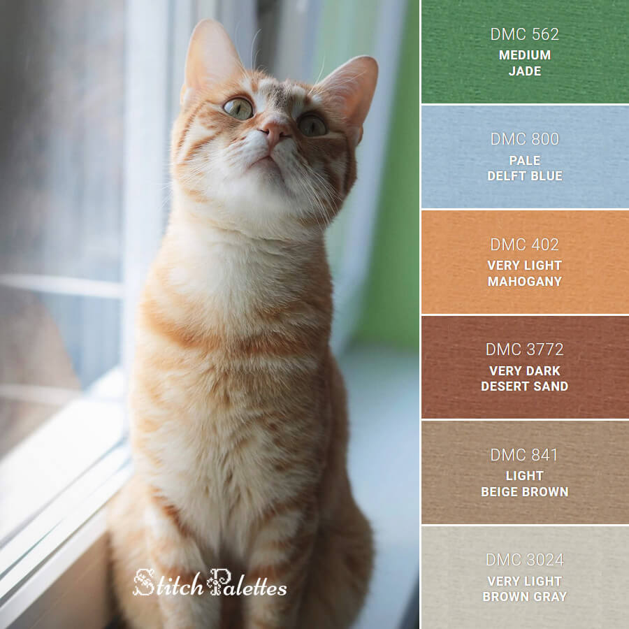 Attention Seeker Cat - Embroidery Color Palette (With Thread Codes)