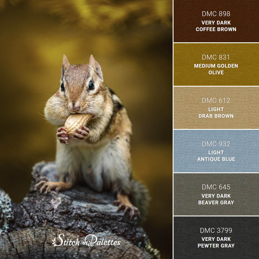 Hungry Little Squirrel - Embroidery Color Palette (With Thread Codes)