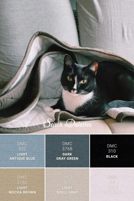 Black And White Furry Friend - Embroidery Color Palette (With Thread Codes)