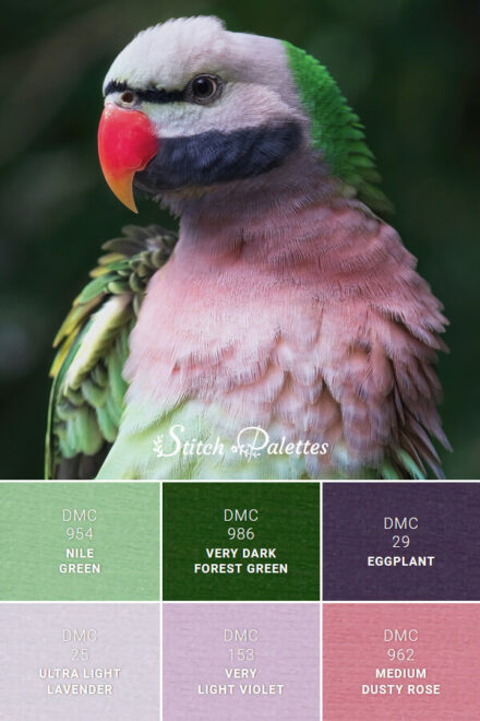 Parrot Profile - Embroidery Color Palette (With Thread Codes)