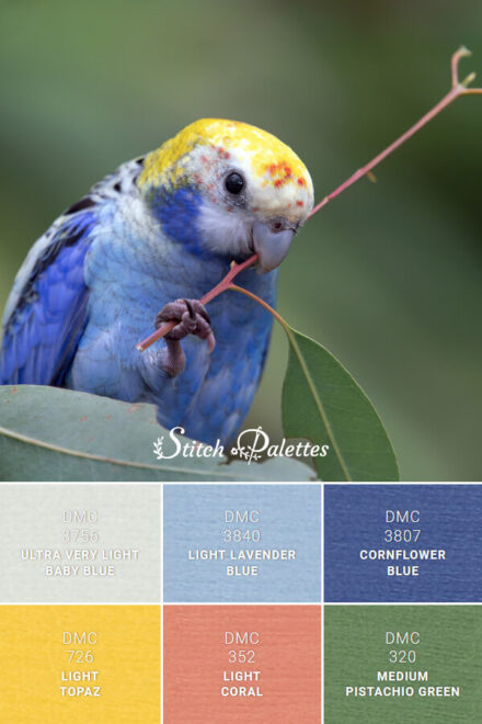 Blue And Yellow Parrot - Embroidery Color Palette (With Thread Codes)