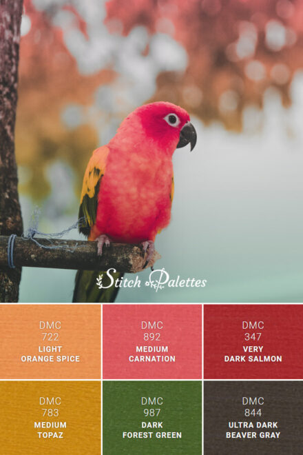 Red Parrot - Embroidery Color Palette (With Thread Codes)