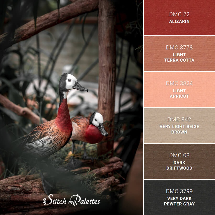 Red And Black Ducks - Embroidery Color Palette (With Thread Codes)
