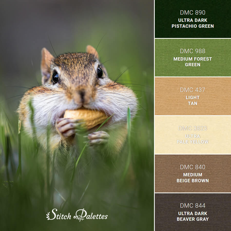 Squirrel's Got The Munchies - Embroidery Color Palette (With Thread Codes)