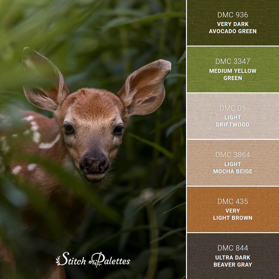 Portrait Of A Fawn - Embroidery Color Palette (With Thread Codes)