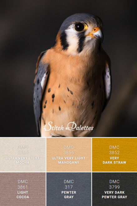 Bird Of Prey - Embroidery Color Palette (With Thread Codes)