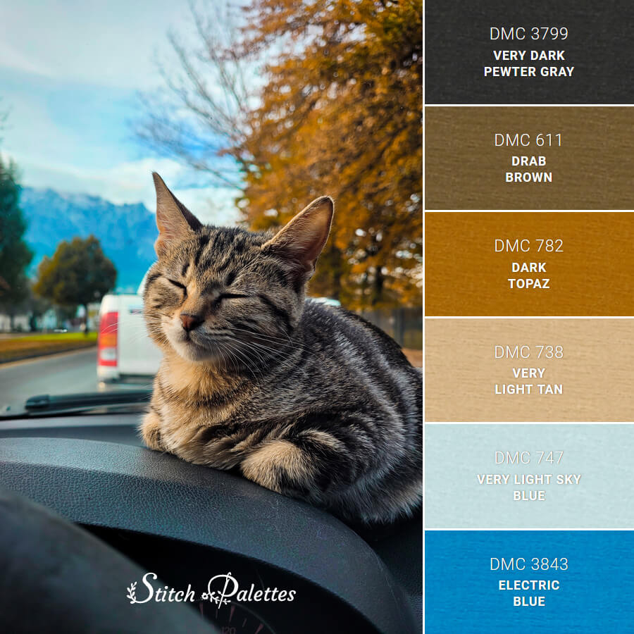 Drivers Companion Embroidery Color Palette With Thread Codes