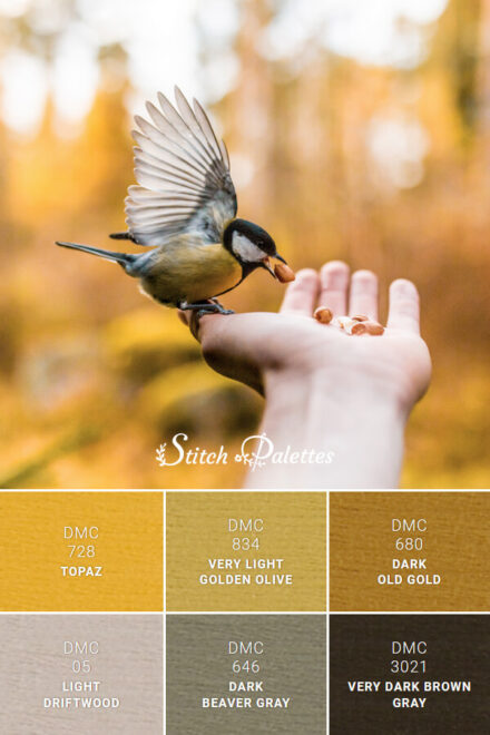 Bird Feeding - Embroidery Color Palette (With Thread Codes)
