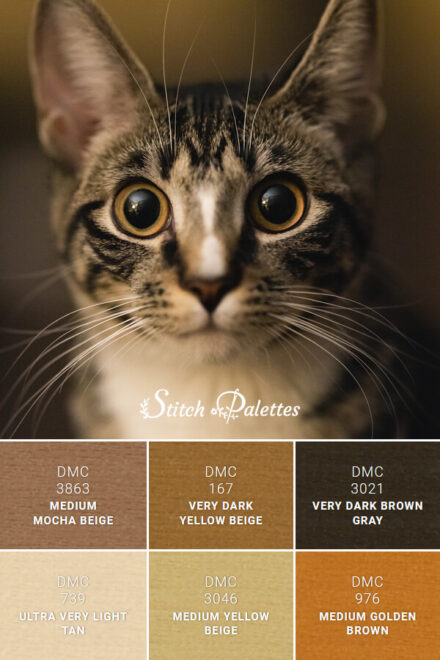 Hypnotic Cat - Embroidery Color Palette (With Thread Codes)