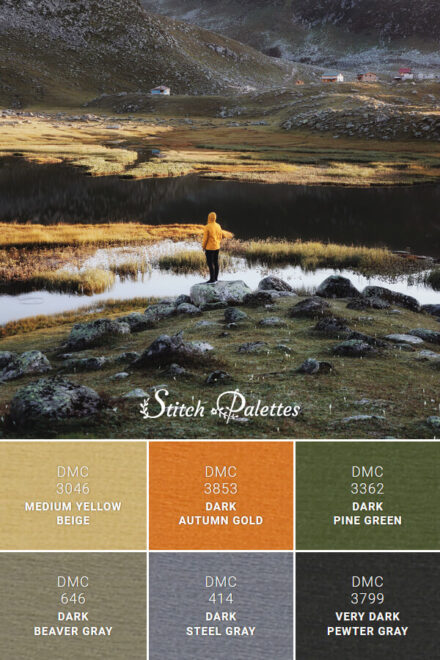 Thinking In Solitude - Embroidery Color Palette (With Thread Codes)