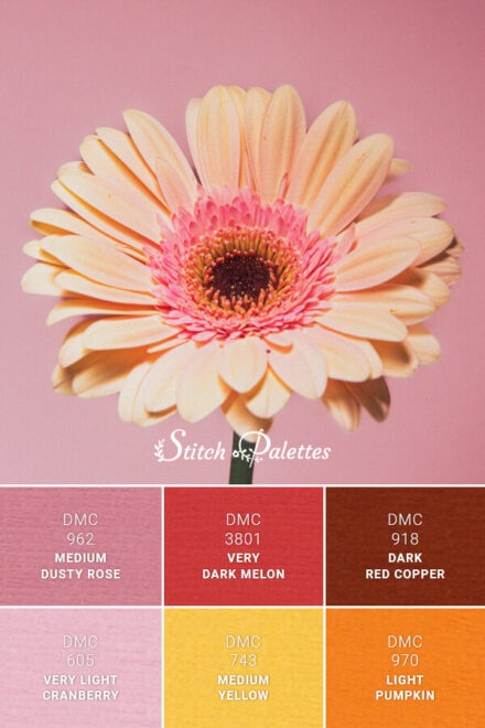 Pretty In Pink - Embroidery Color Palette (With Thread Codes)