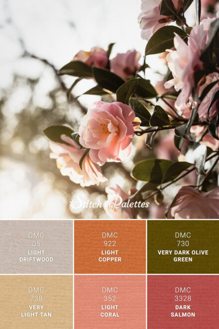 Roses In The Light - Embroidery Color Palette (With Thread Codes)