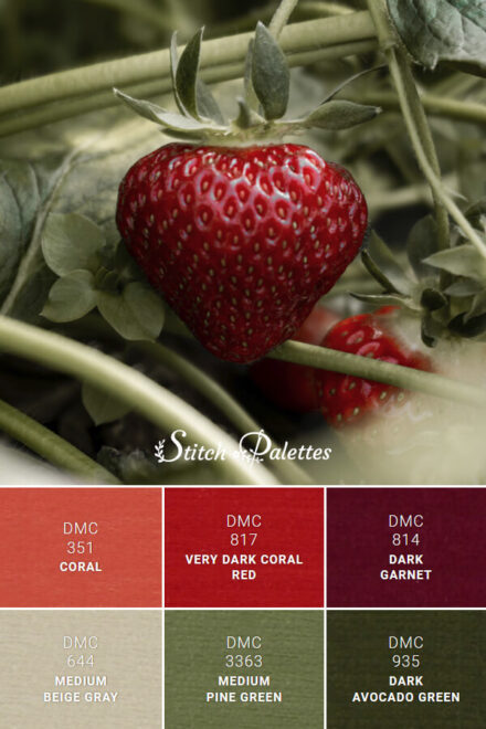 Red Strawberry - Embroidery Color Palette (With Thread Codes)