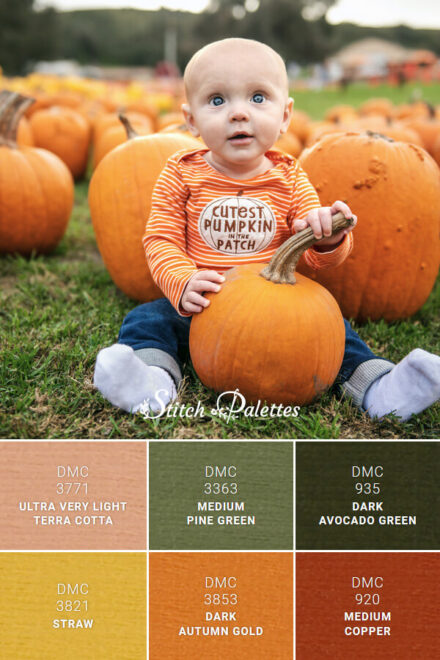 Pumpkin In The Patch - Embroidery Color Palette (With Thread Codes)