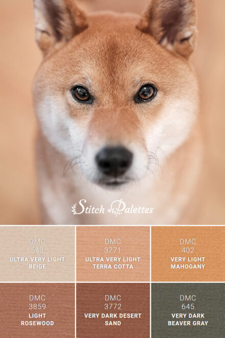 Shades Of A Shiba Inu - Embroidery Color Palette (With Thread Codes)
