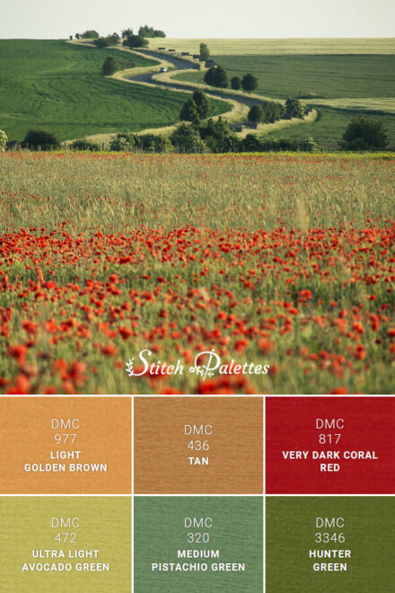 Homebound In Hungary - Embroidery Color Palette (With Thread Codes)