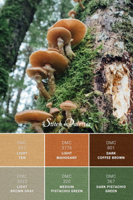 Canadian Mushrooms - Embroidery Color Palette (With Thread Codes)