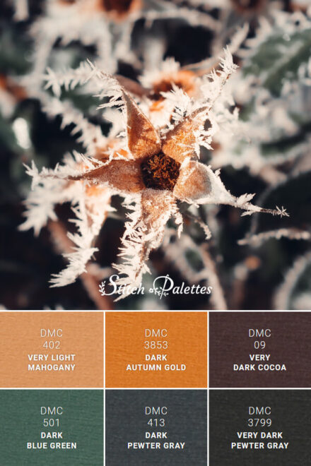 Matching Thread Color Combinations For Embroidery Projects