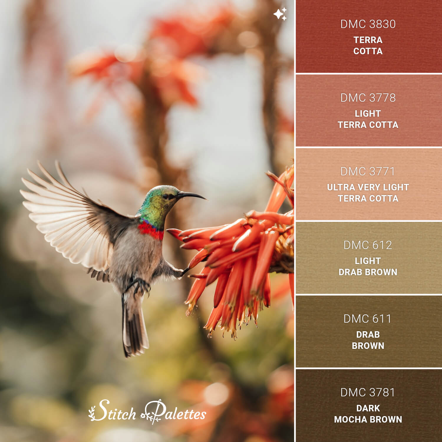 Hummingbird In South Africa - Embroidery Color Palette (With Thread Codes)