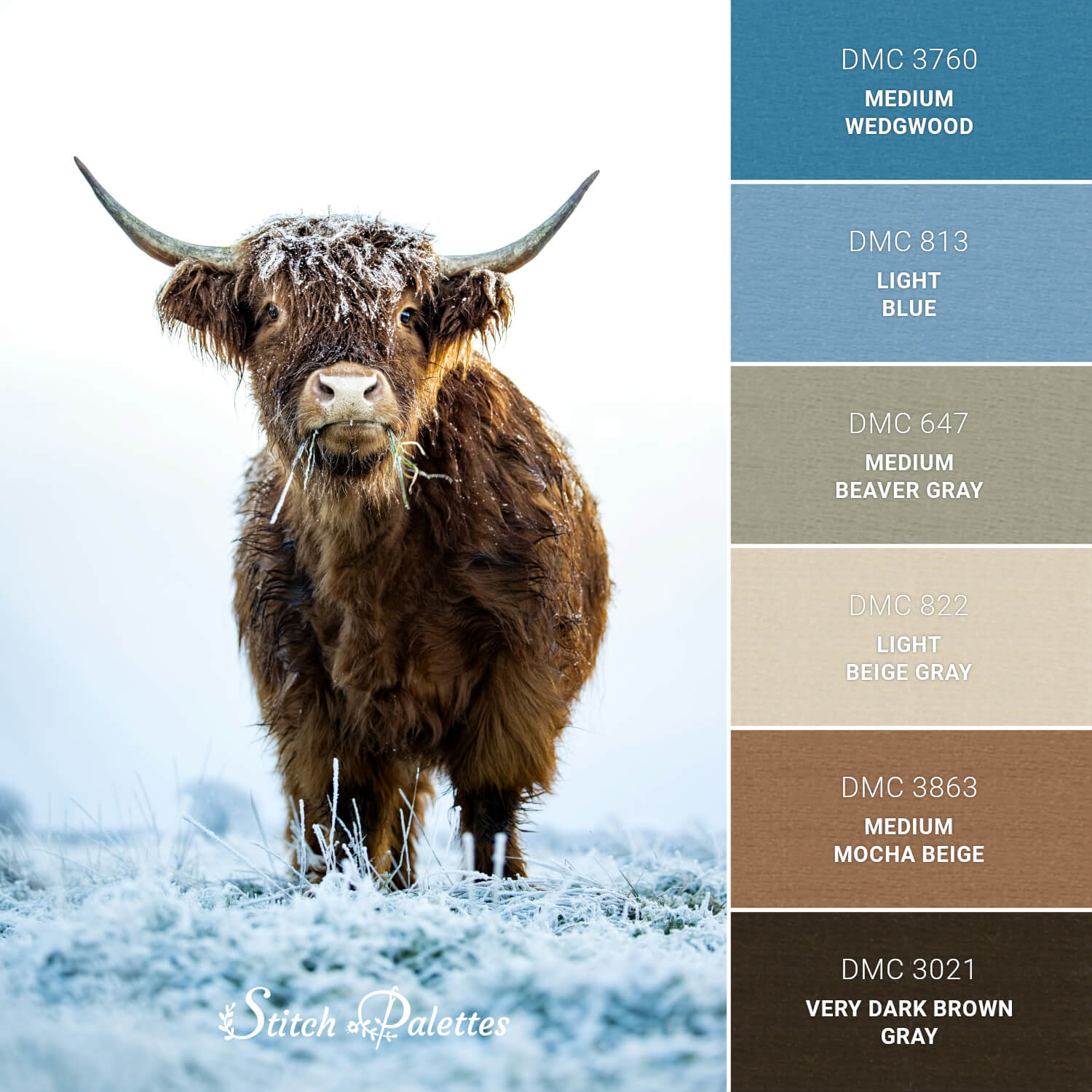 Frozen But Warm - Embroidery Color Palette (With Thread Codes)
