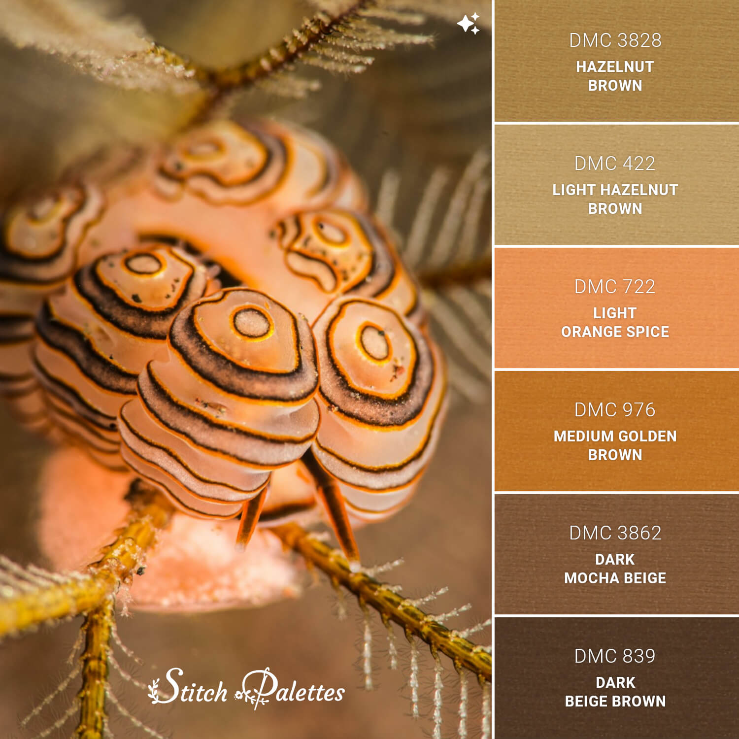 Donut Nudibranch - Embroidery Color Palette (With Thread Codes)