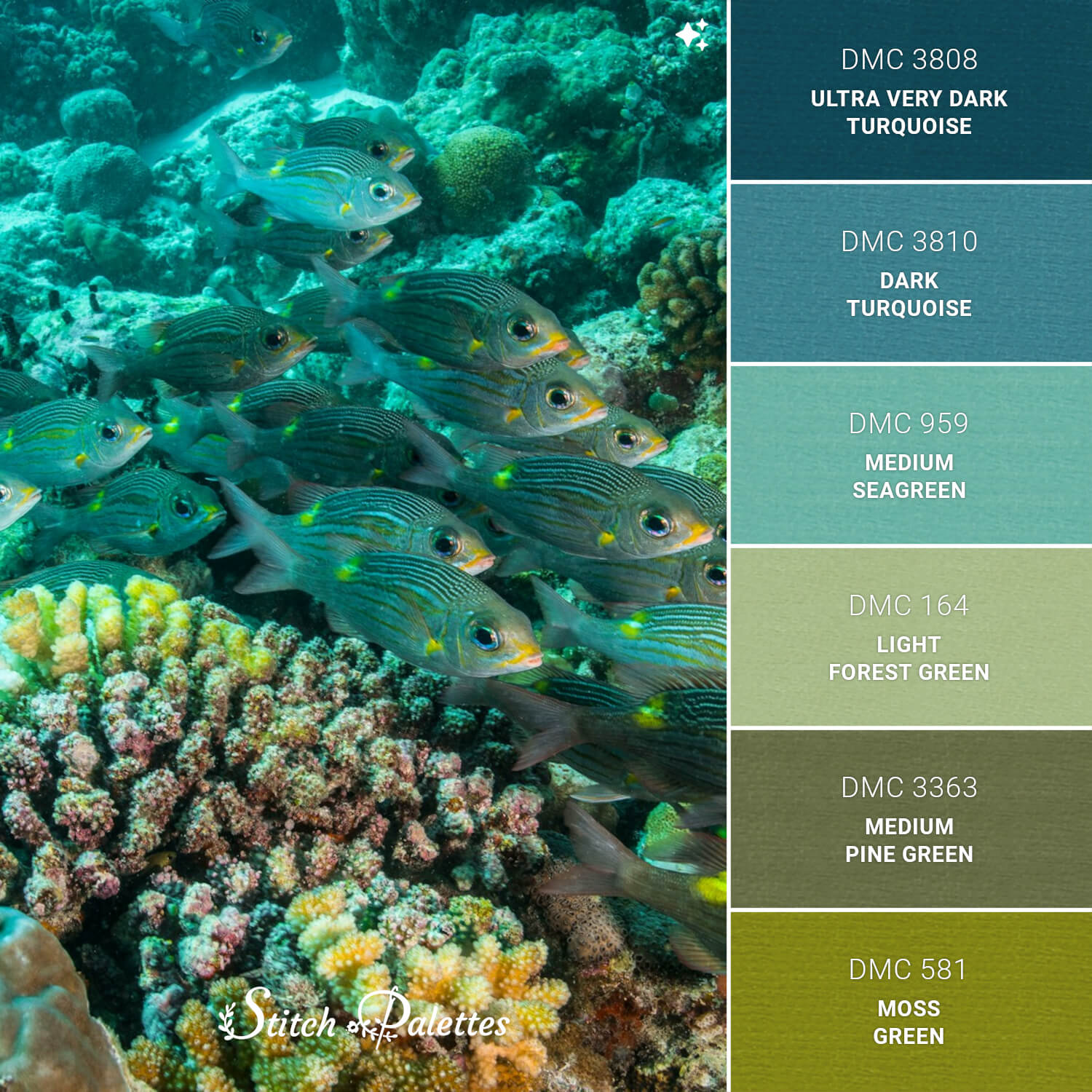 A School Of Fish - Embroidery Color Palette (With Thread Codes)