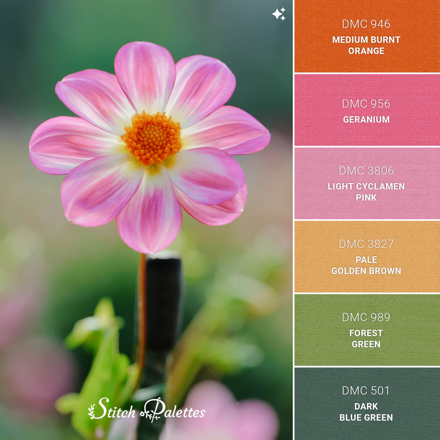 Singled Out - Embroidery Color Palette (With Thread Codes)